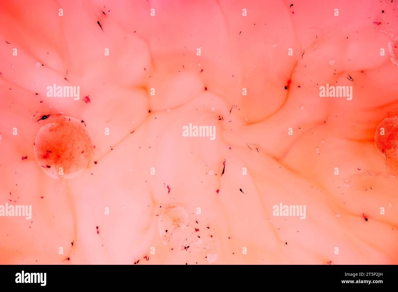 Pink flesh hi-res stock photography and images - Alamy