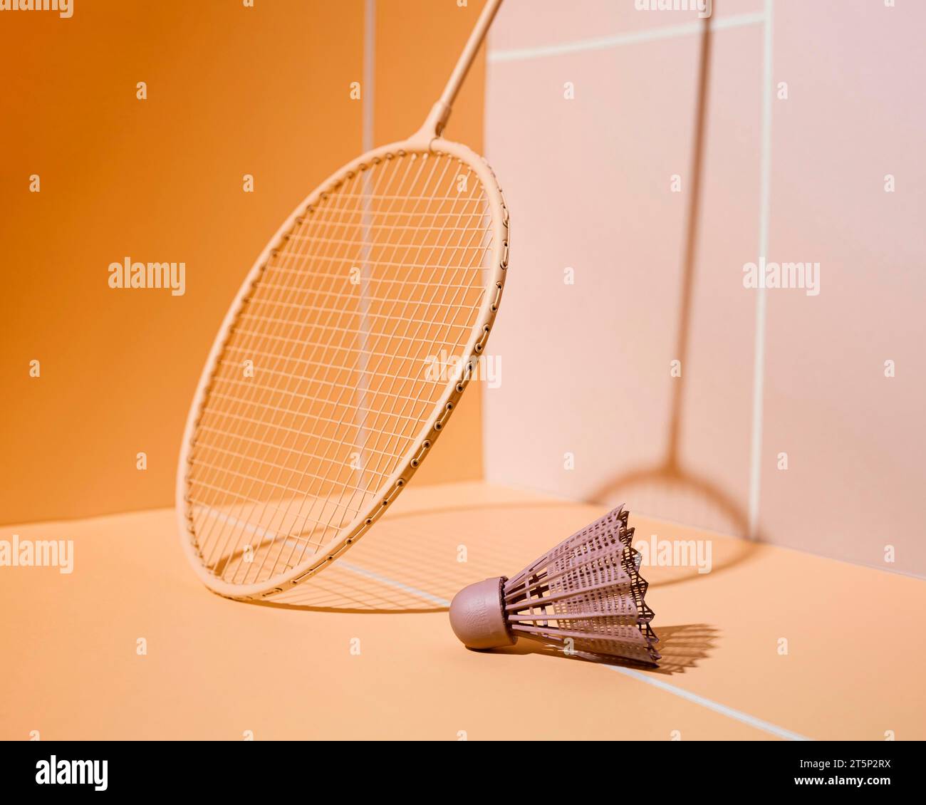 Badminton racket shuttlecock arrangement Stock Photo - Alamy