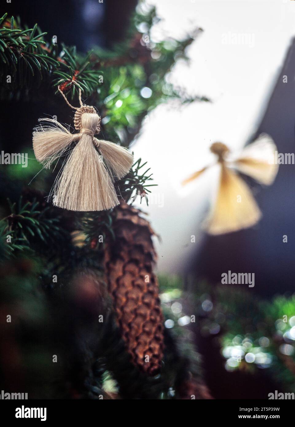 Decorated bo tree hi-res stock photography and images - Alamy