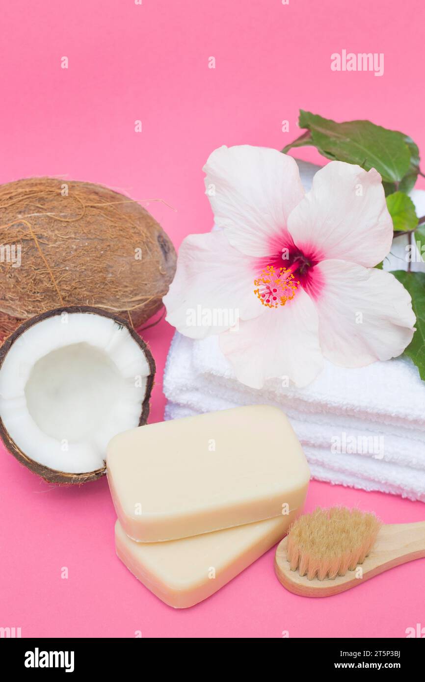 Coconut brush hi-res stock photography and images - Alamy