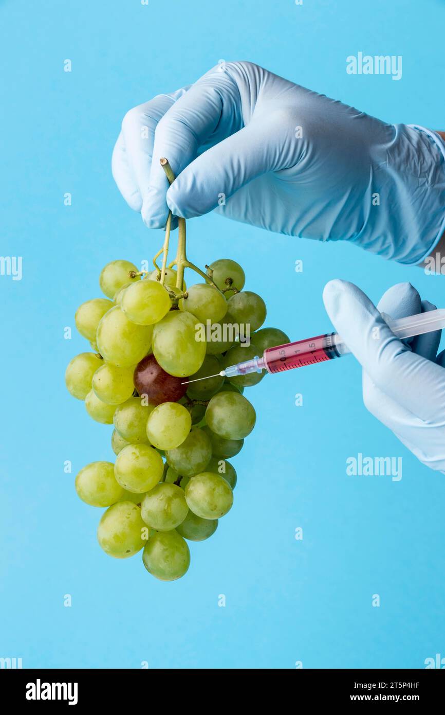 Gmo chemical modified food grapes Stock Photo - Alamy