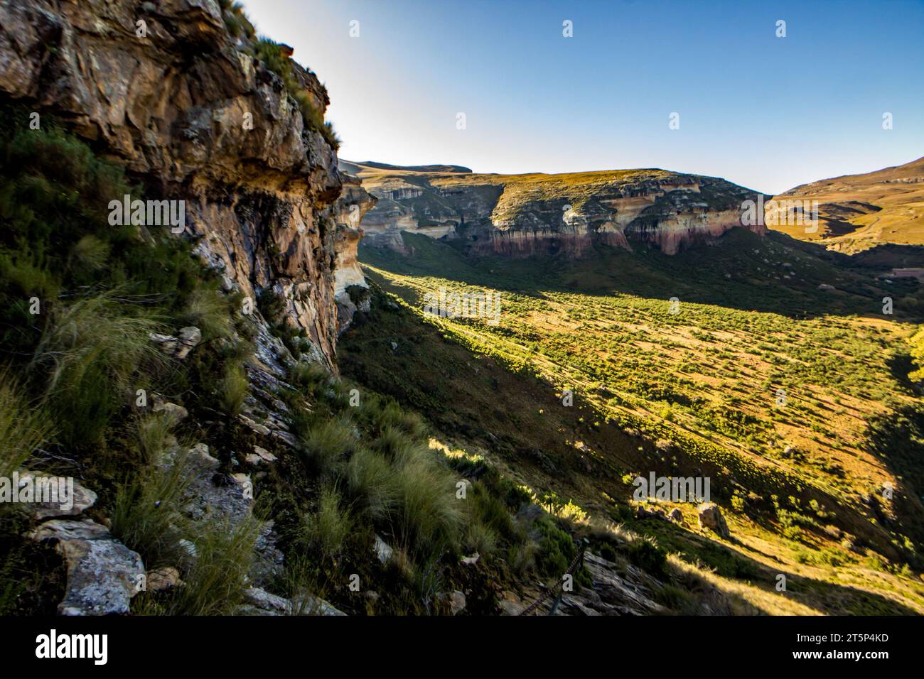 Sandstone Cliffs and Afro alpine grasslands of the Golden Gate ...
