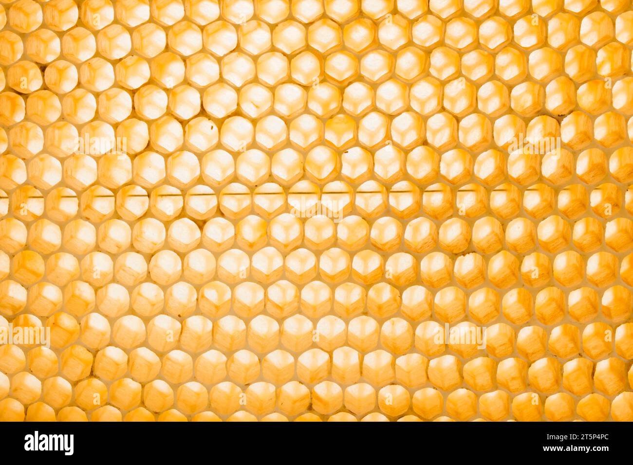 Beehive cell hi-res stock photography and images - Alamy