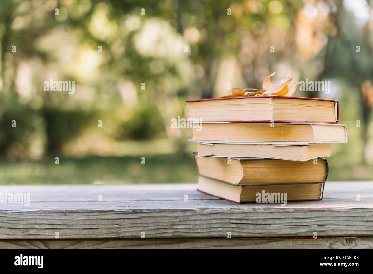 Piled books hi-res stock photography and images - Alamy