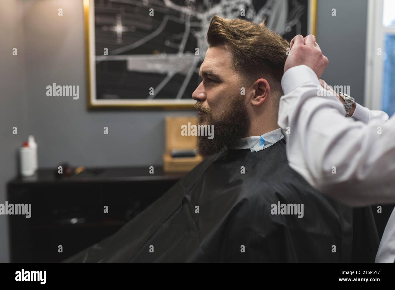 Side view barber cutting hair client Stock Photo - Alamy