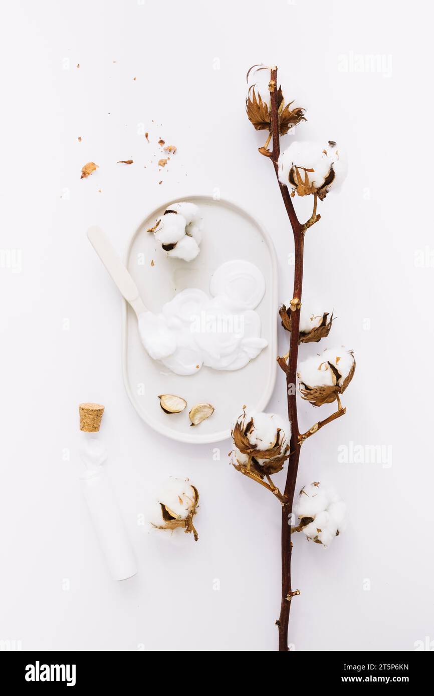Top view moisturizing cream cotton twig white background Stock Photo ...