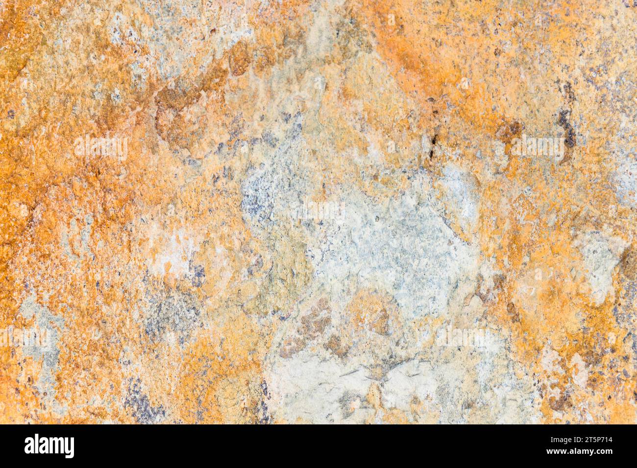 Wall marble texture Stock Photo - Alamy