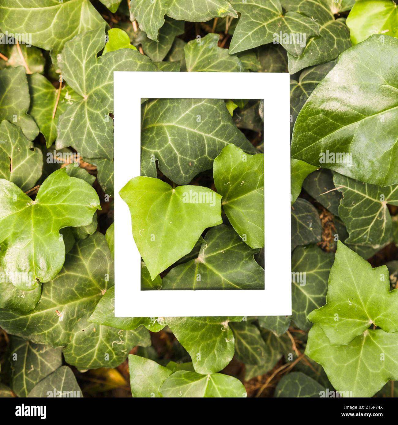 Rectangular frame hi-res stock photography and images - Alamy