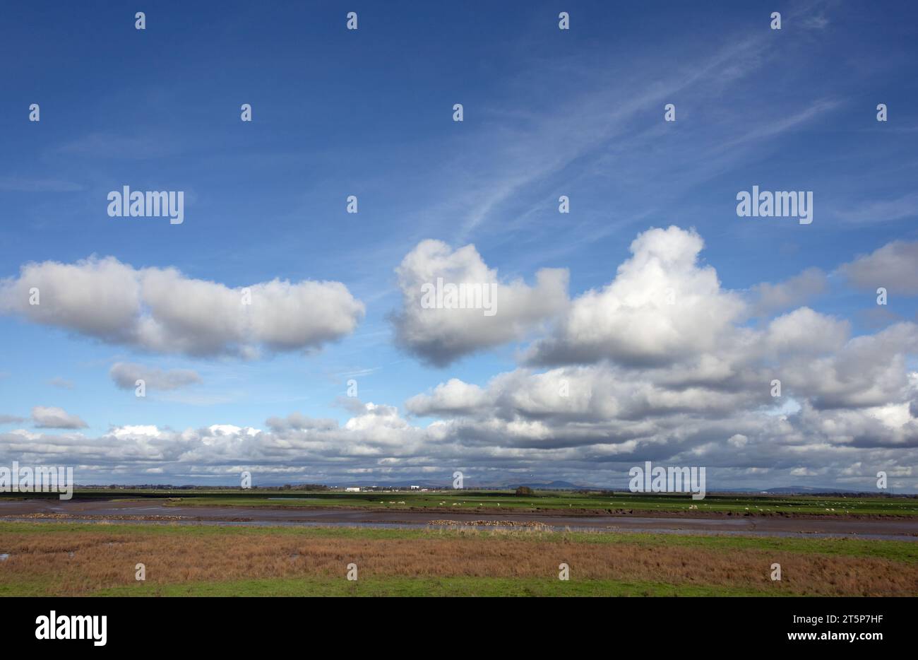 Waterlogged marsh by the River Douglas with a distant view to the ...