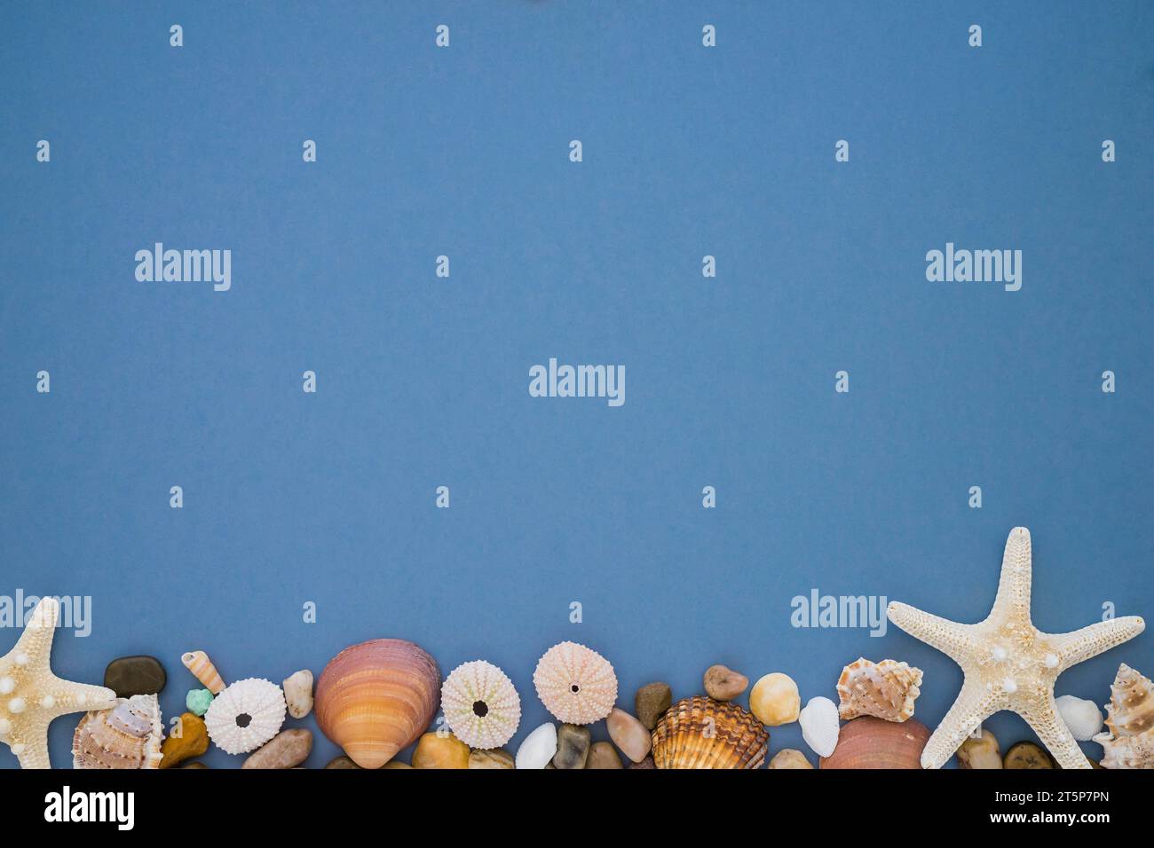 Blue surface with sea urchins other marine elements Stock Photo - Alamy