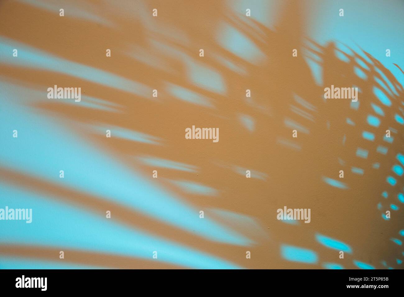 Dark palm leaves shadow blue backdrop Stock Photo - Alamy