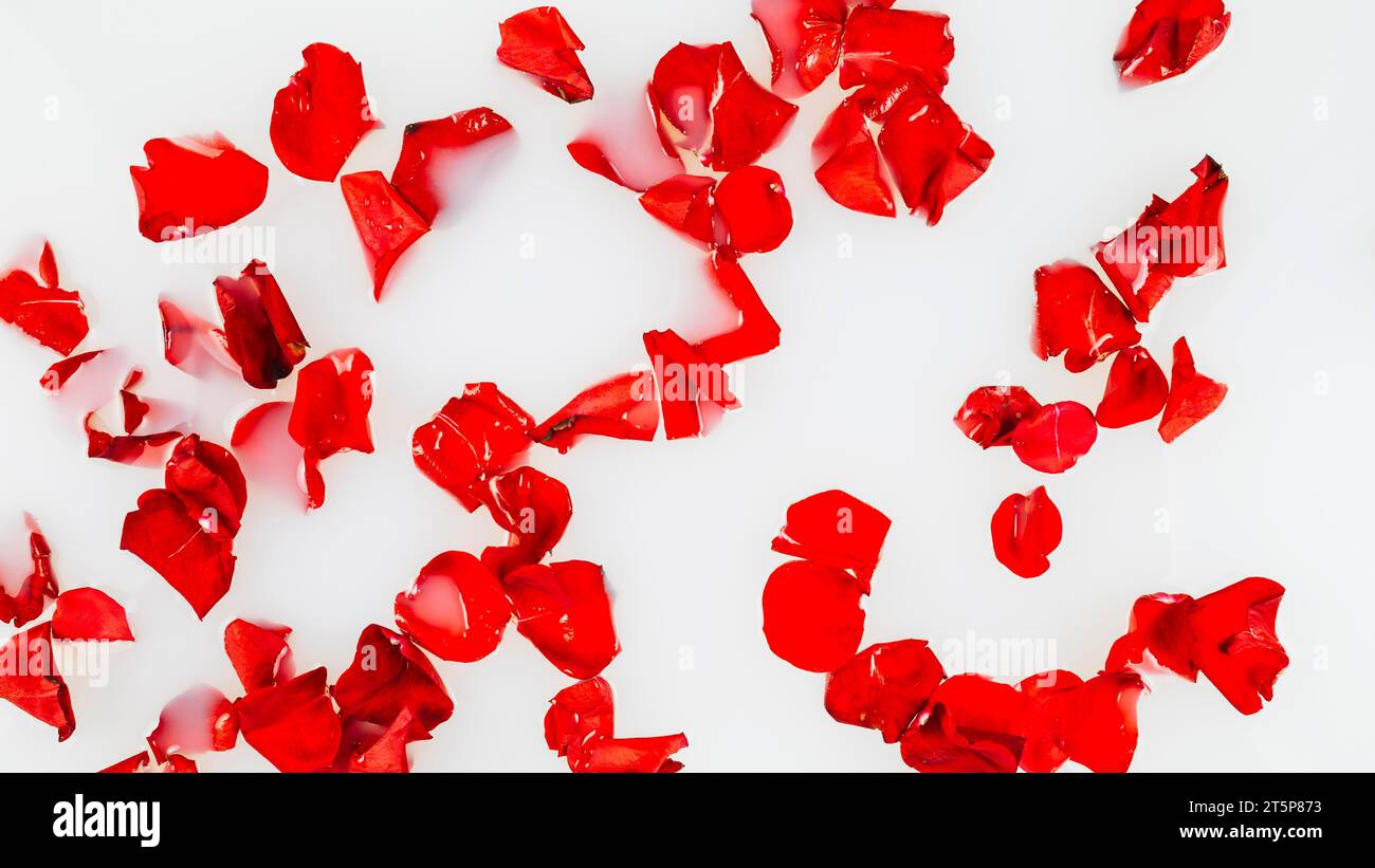 Elevated view red rose petals floating water Stock Photo - Alamy