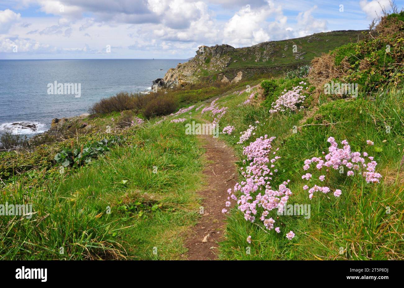 Little cudden point hi-res stock photography and images - Alamy