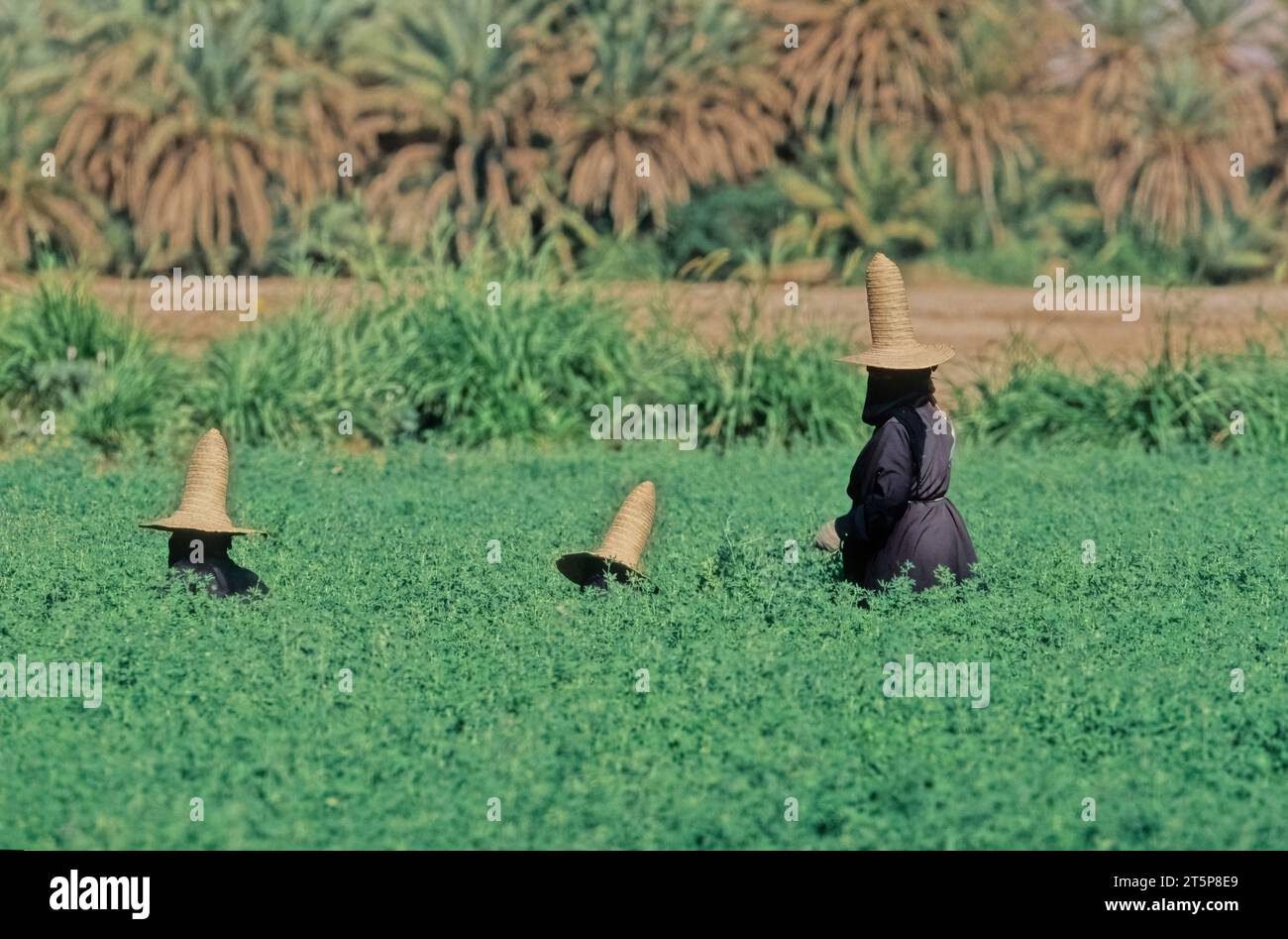 The madhalla is a traditional hat used in Yemen and worn by women Stock ...