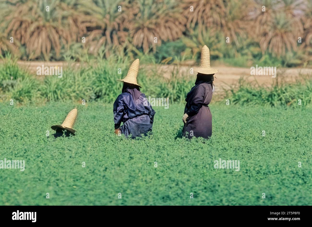 The madhalla is a traditional hat used in Yemen and worn by women Stock ...