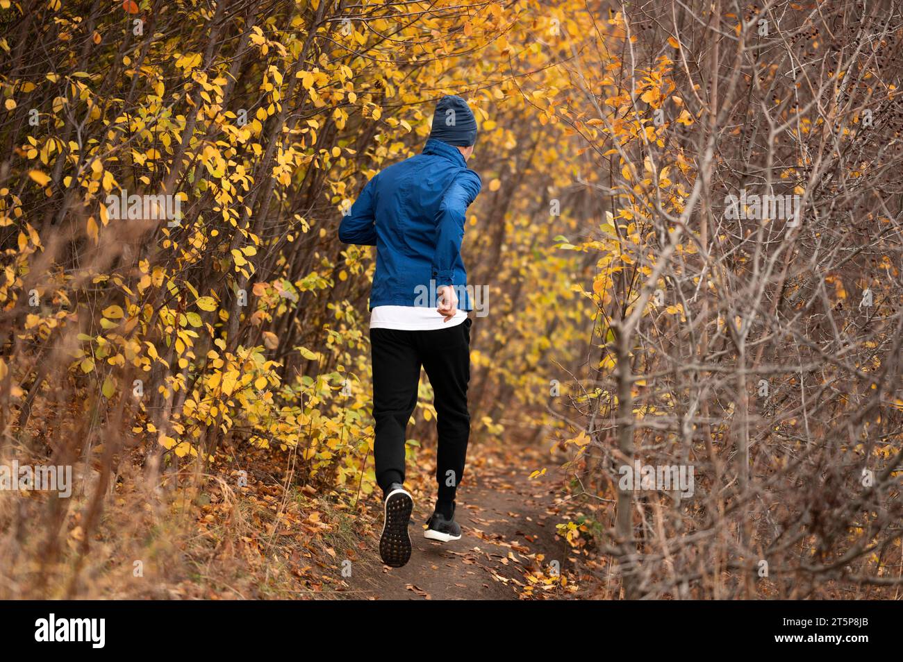 Crowd running away hi-res stock photography and images - Alamy