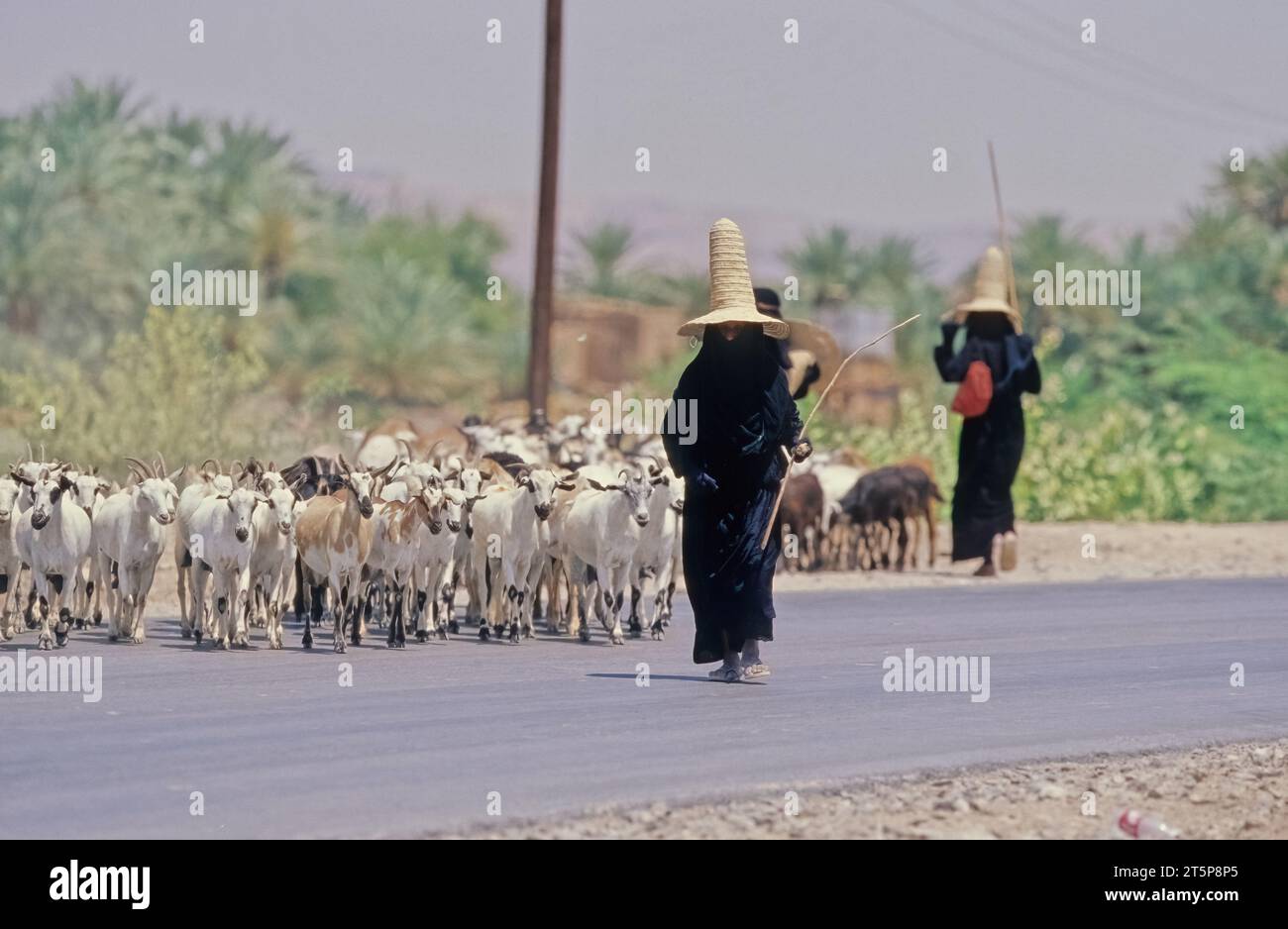 The madhalla is a traditional hat used in Yemen and worn by women Stock ...