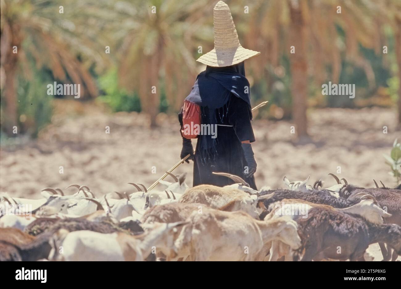 The madhalla is a traditional hat used in Yemen and worn by women Stock ...