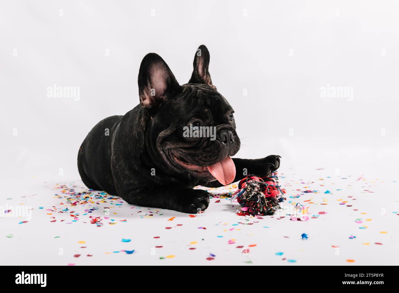 Lovely party hi-res stock photography and images - Alamy