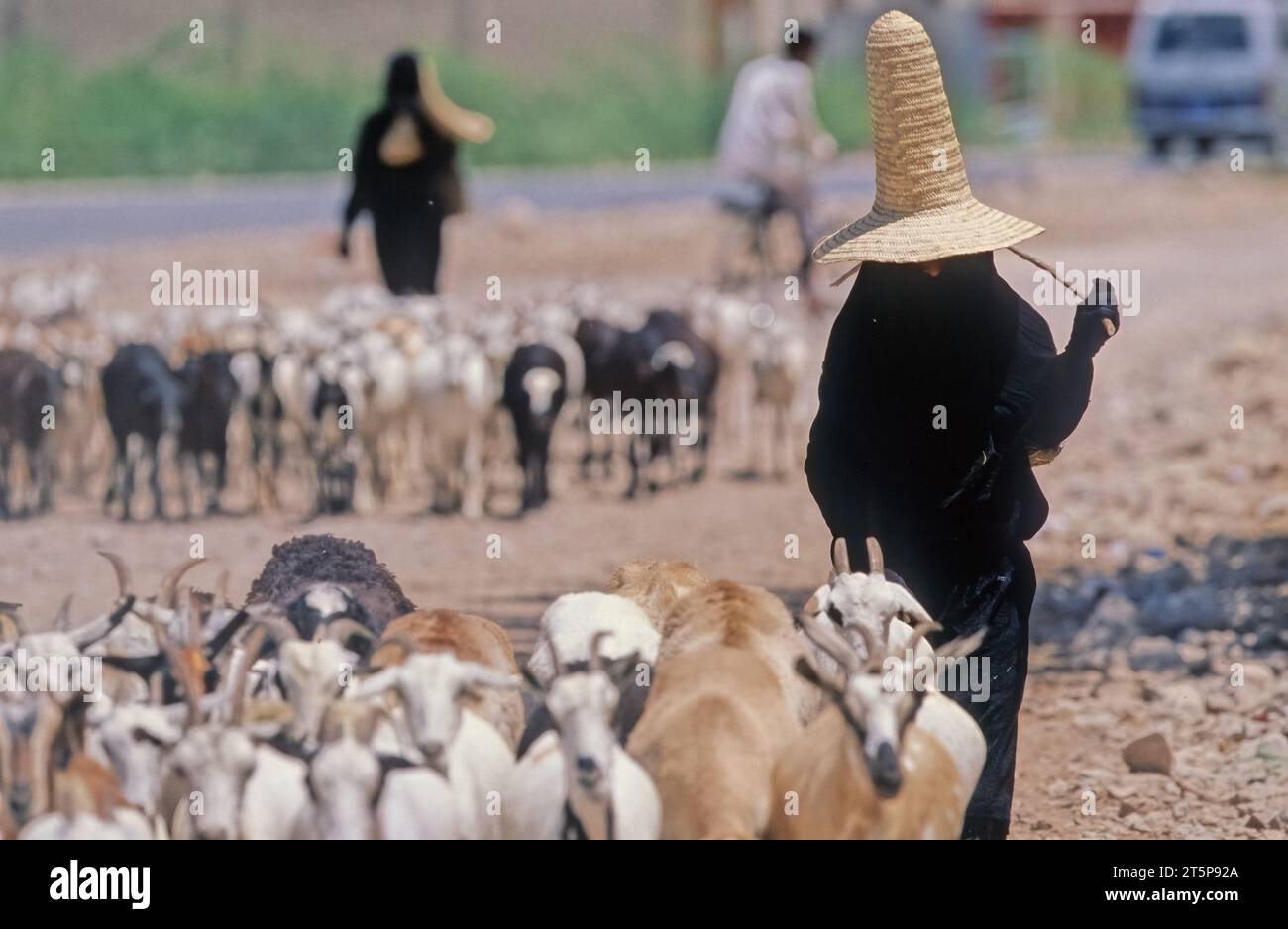 The madhalla is a traditional hat used in Yemen and worn by women Stock ...
