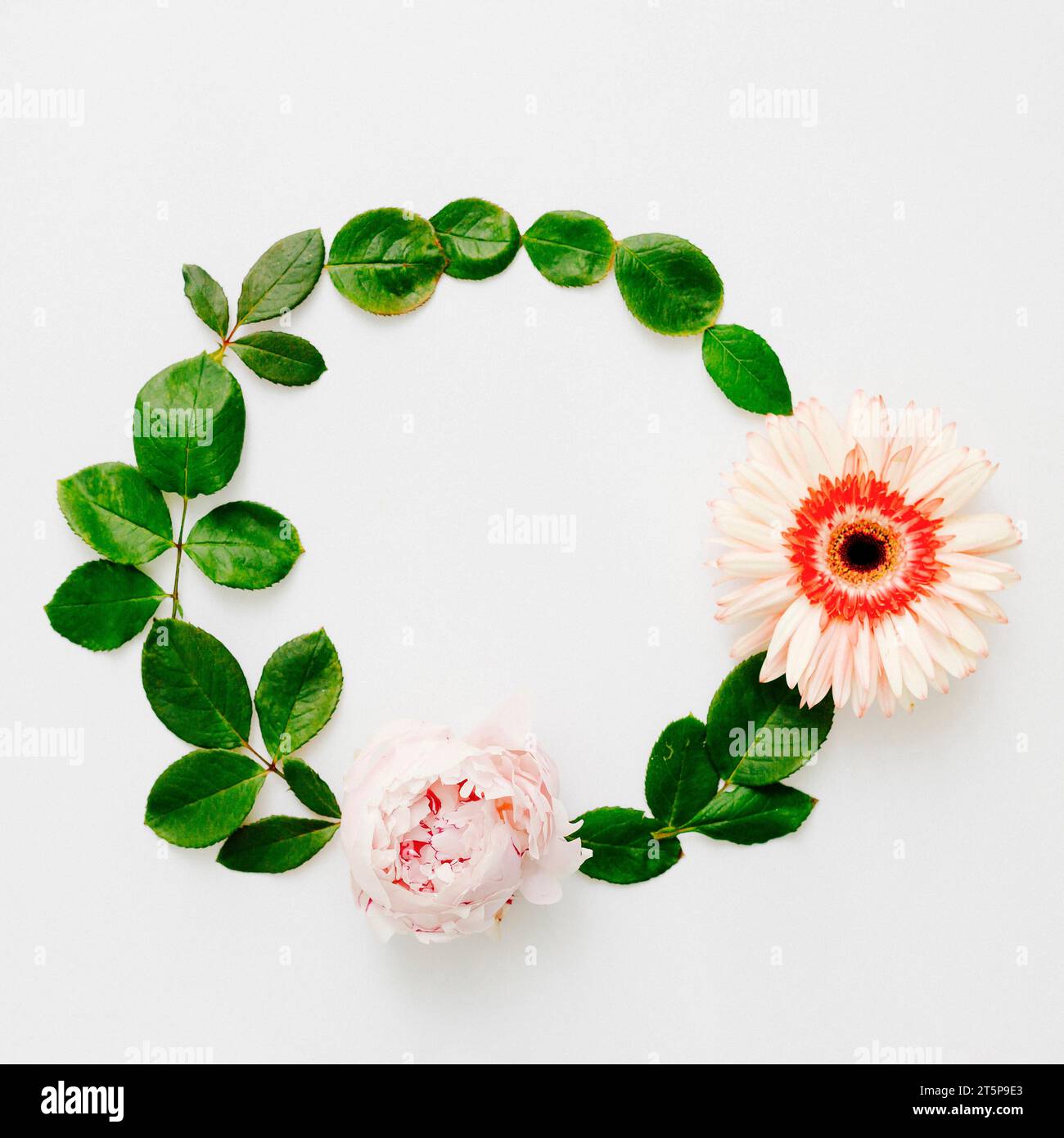 Round frame flowers hi-res stock photography and images - Alamy