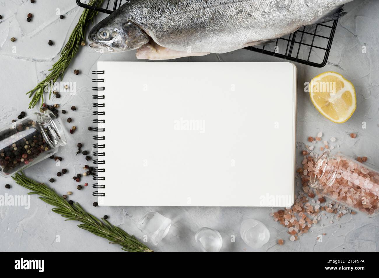 Top view fish notebook arrangement Stock Photo - Alamy