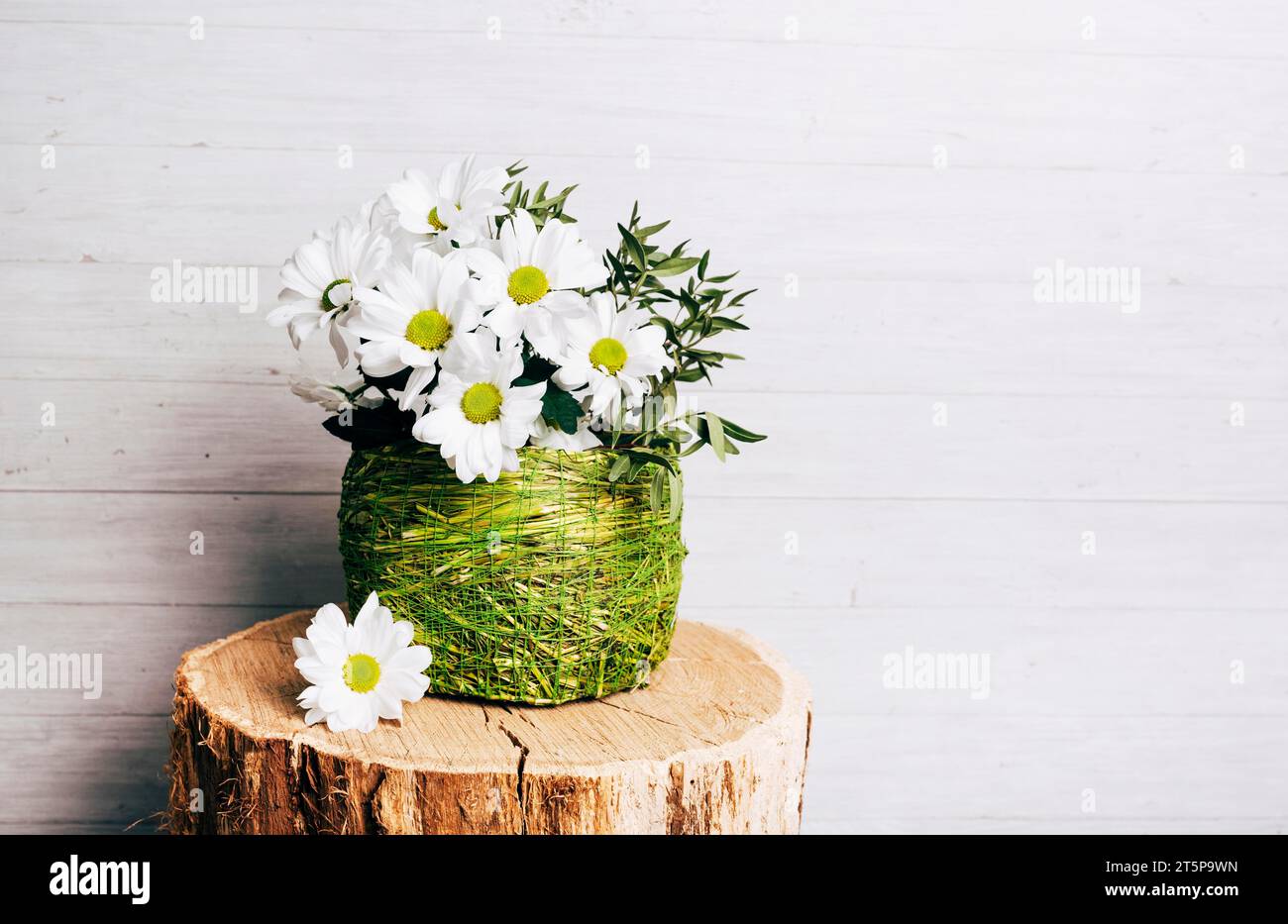 White flower vase tree stump against wooden background Stock Photo - Alamy