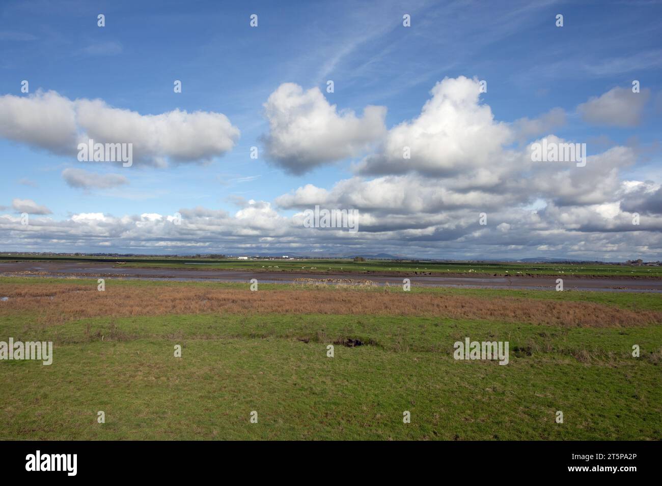 Waterlogged marsh by the River Douglas with a distant view to the ...