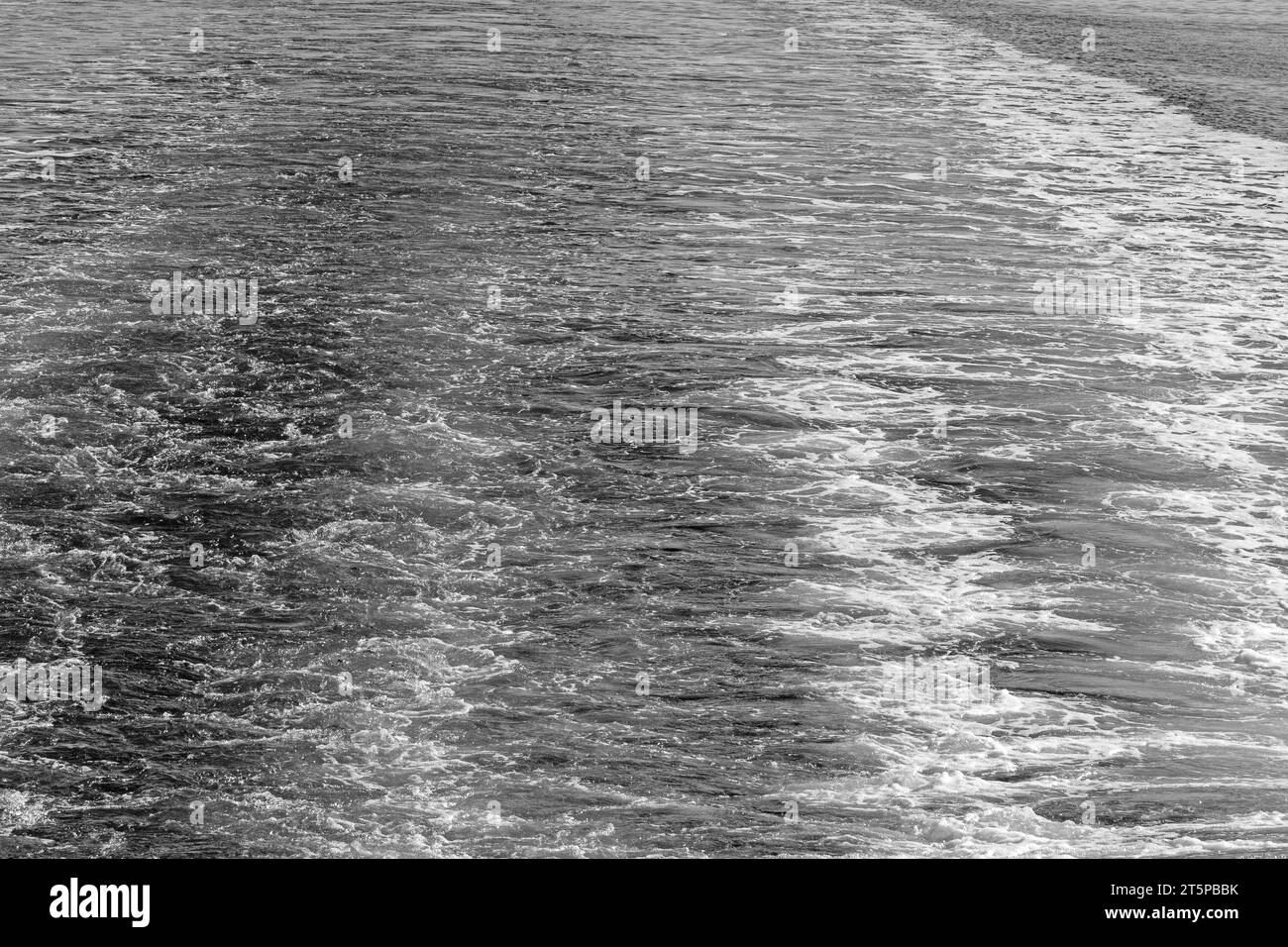 Nautical landscape in Black and white show off amazing artistic designs ...