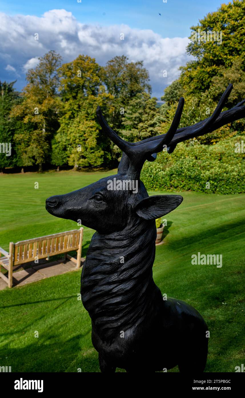 Statue of a stag with antlers on the grounds of the Doubletree Hilton ...