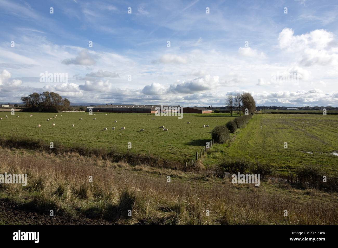 Farmland fields after heavy rain near Hesketh Bank Lancashire England ...