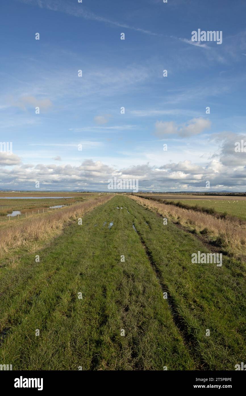 Salt Marsh The Ribble Estuary National Nature Reserve near Hesketh Bank ...