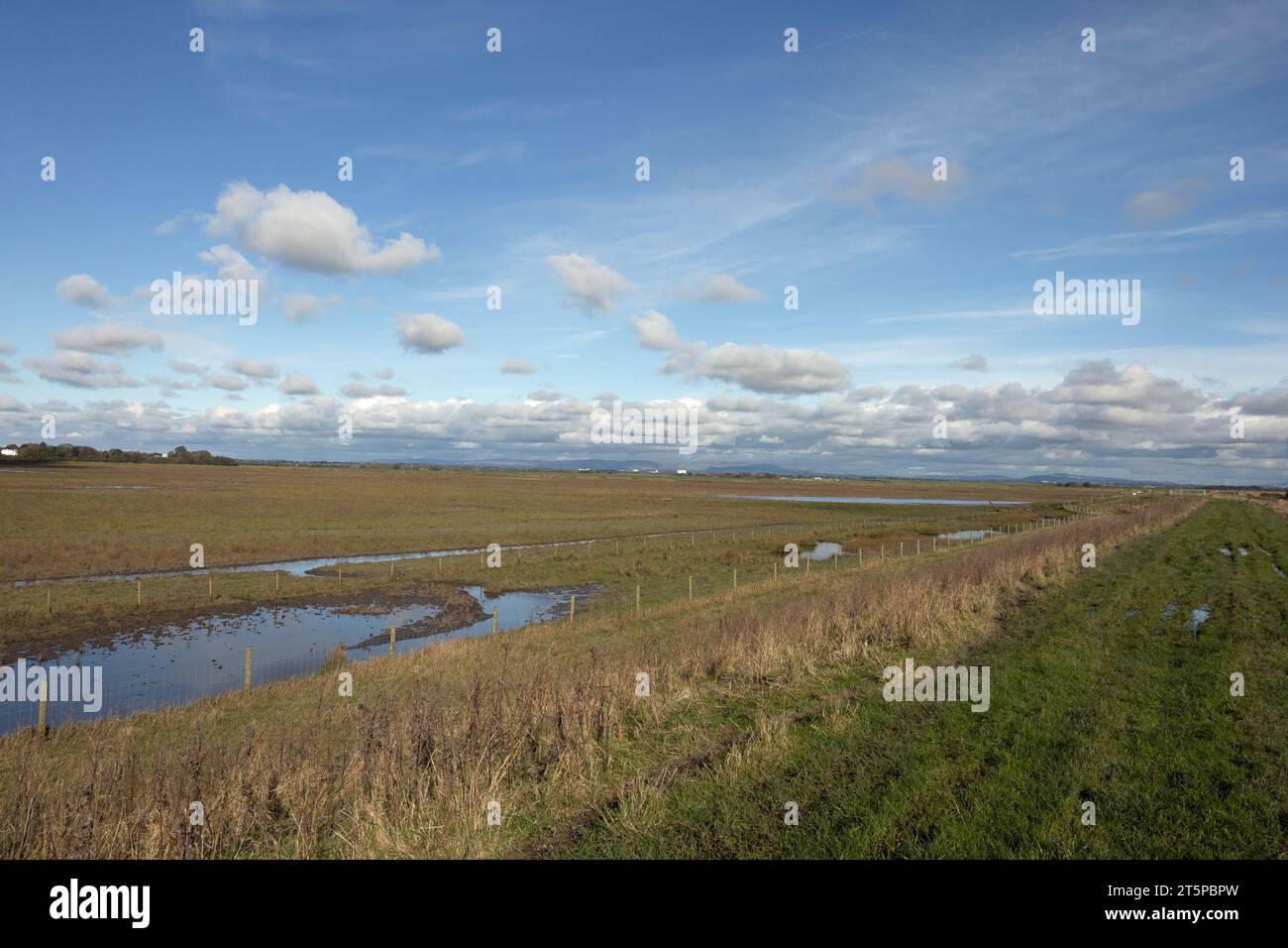 Salt Marsh The Ribble Estuary National Nature Reserve near Hesketh Bank ...