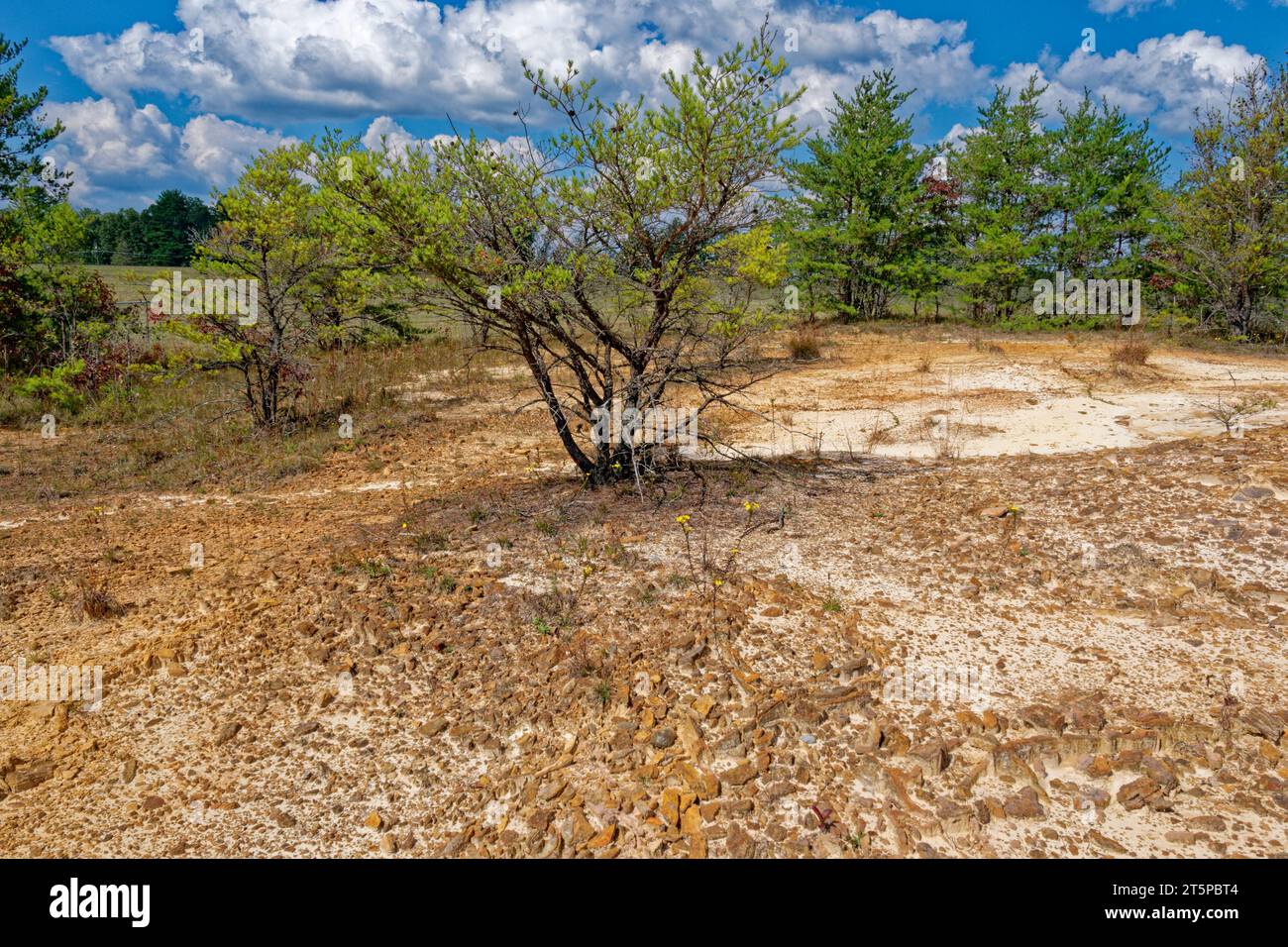 Unusal texture hi-res stock photography and images - Alamy