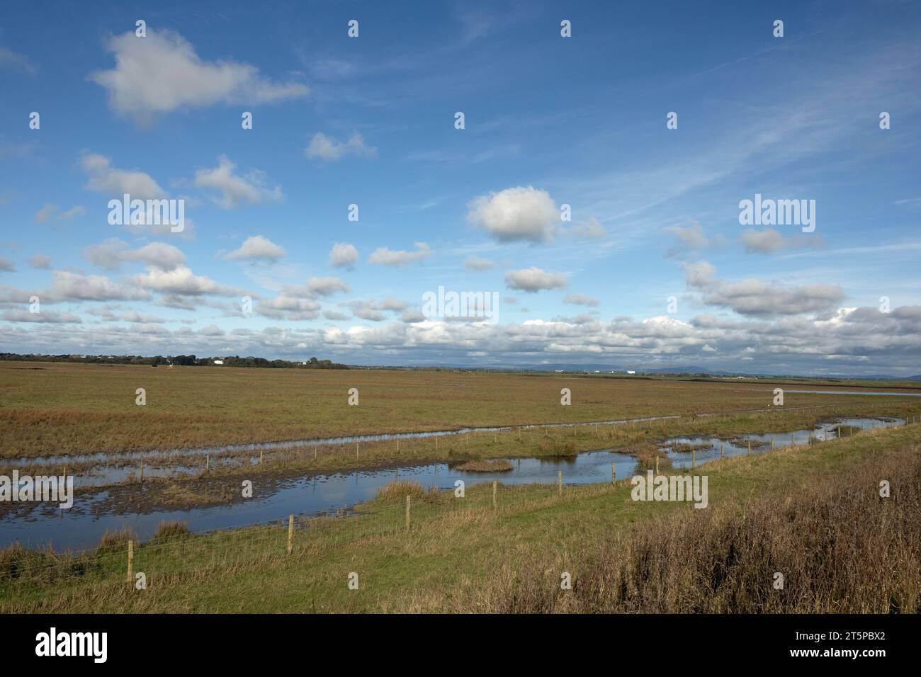 Salt Marsh The Ribble Estuary National Nature Reserve near Hesketh Bank ...
