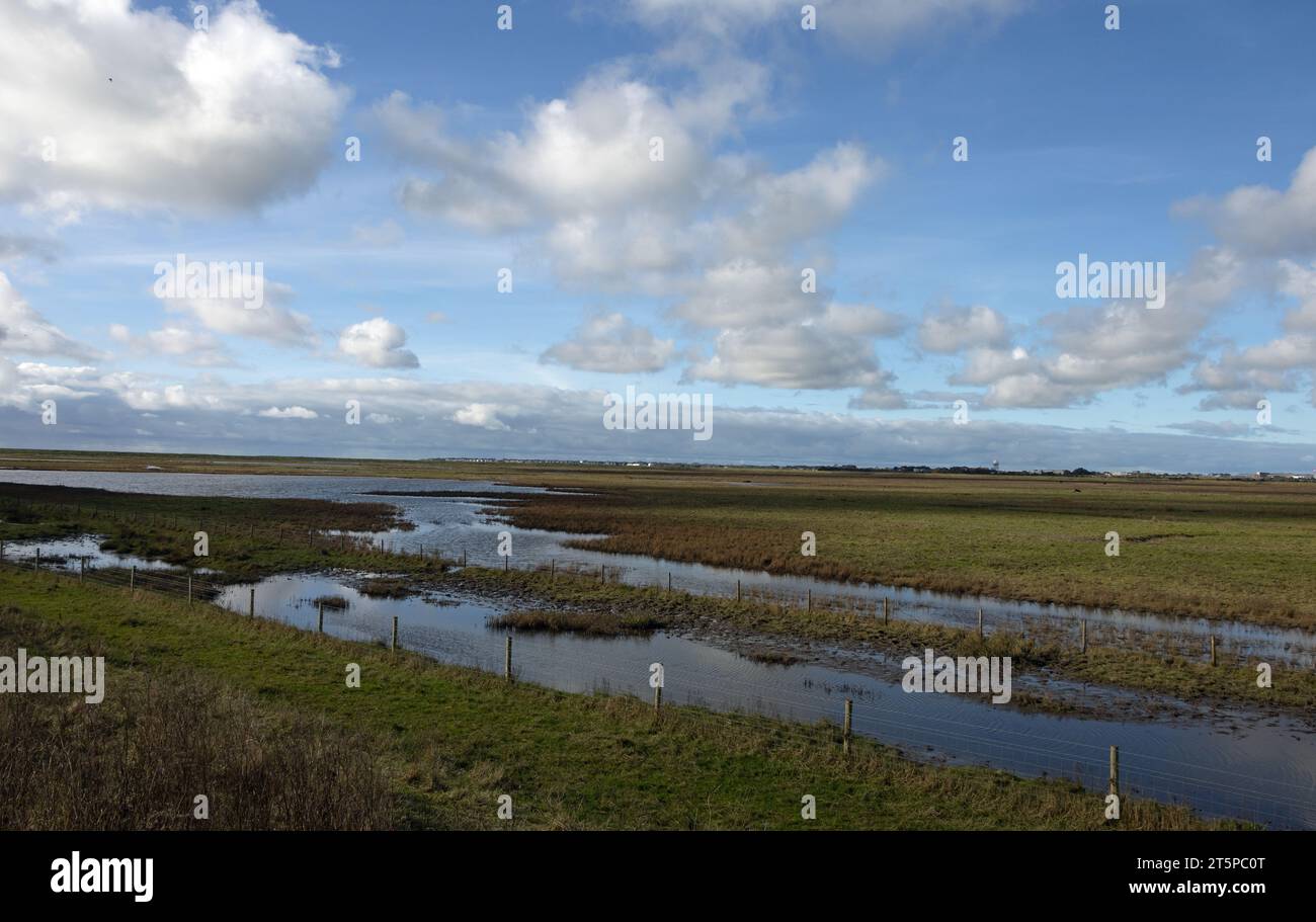 Salt Marsh The Ribble Estuary National Nature Reserve near Hesketh Bank ...