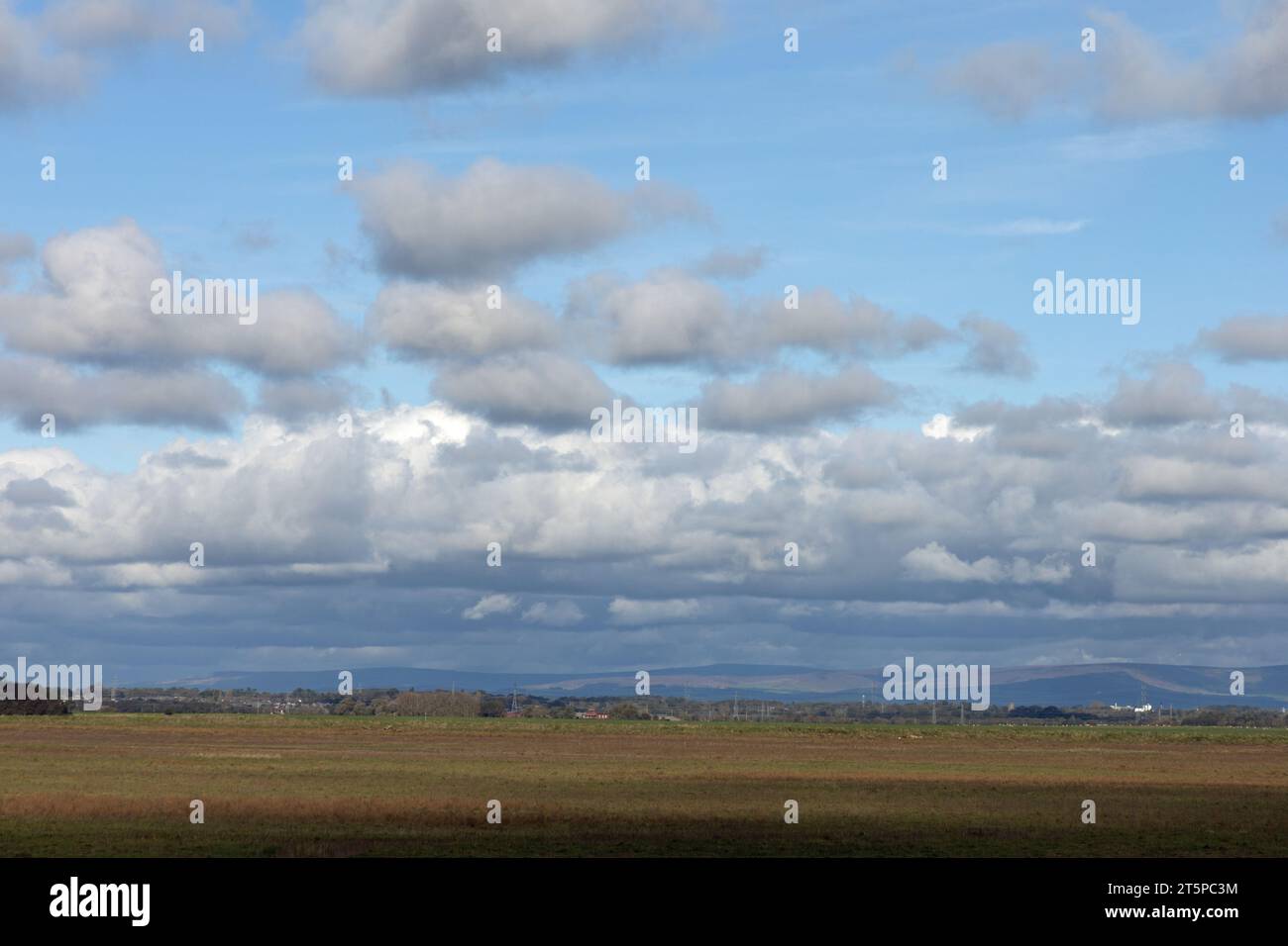 Salt Marsh The Ribble Estuary National Nature Reserve near Hesketh Bank ...
