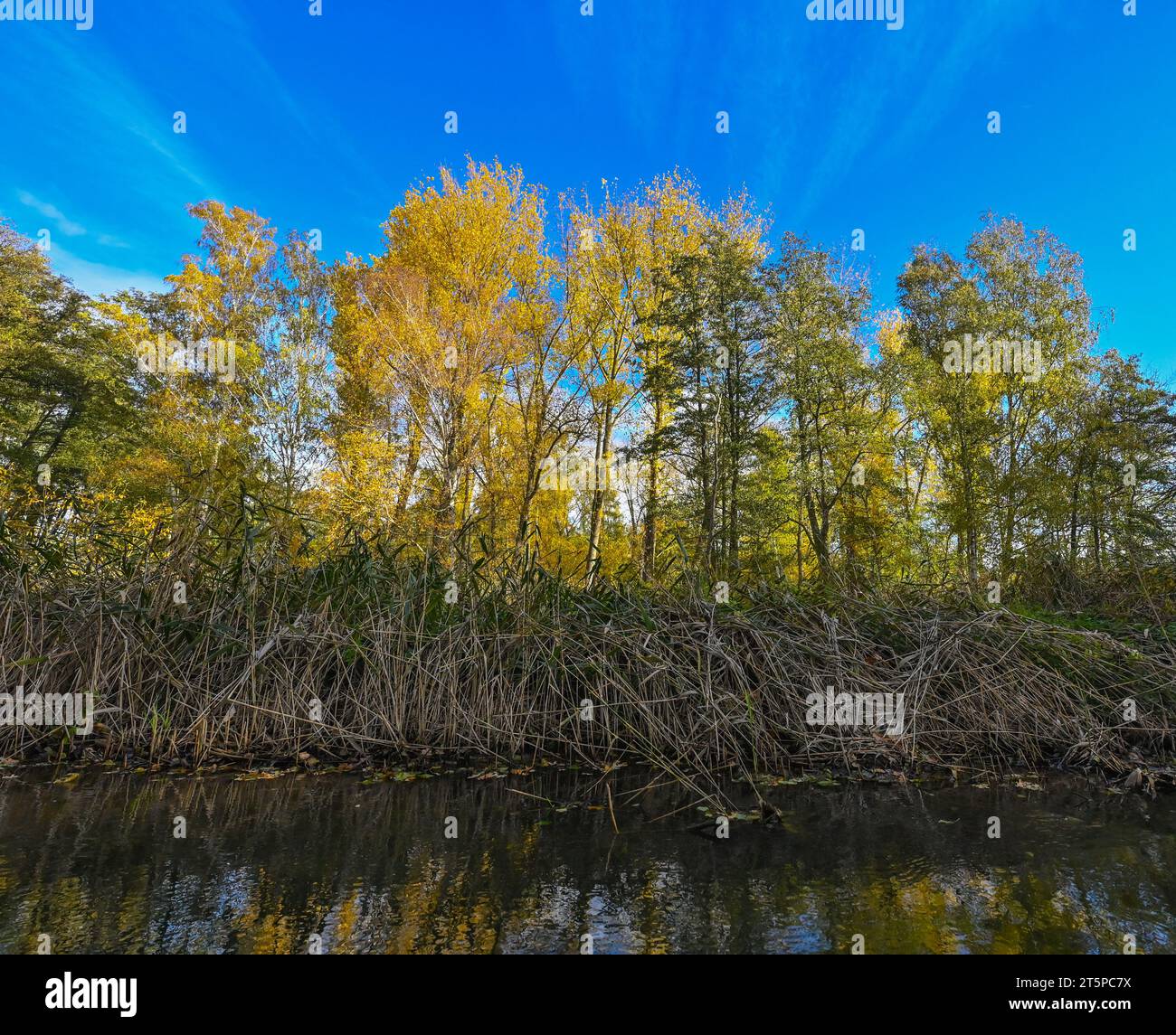 Reitwein, Germany. 05th Nov, 2023. Autumn on the Old Oder, on the Padde ...