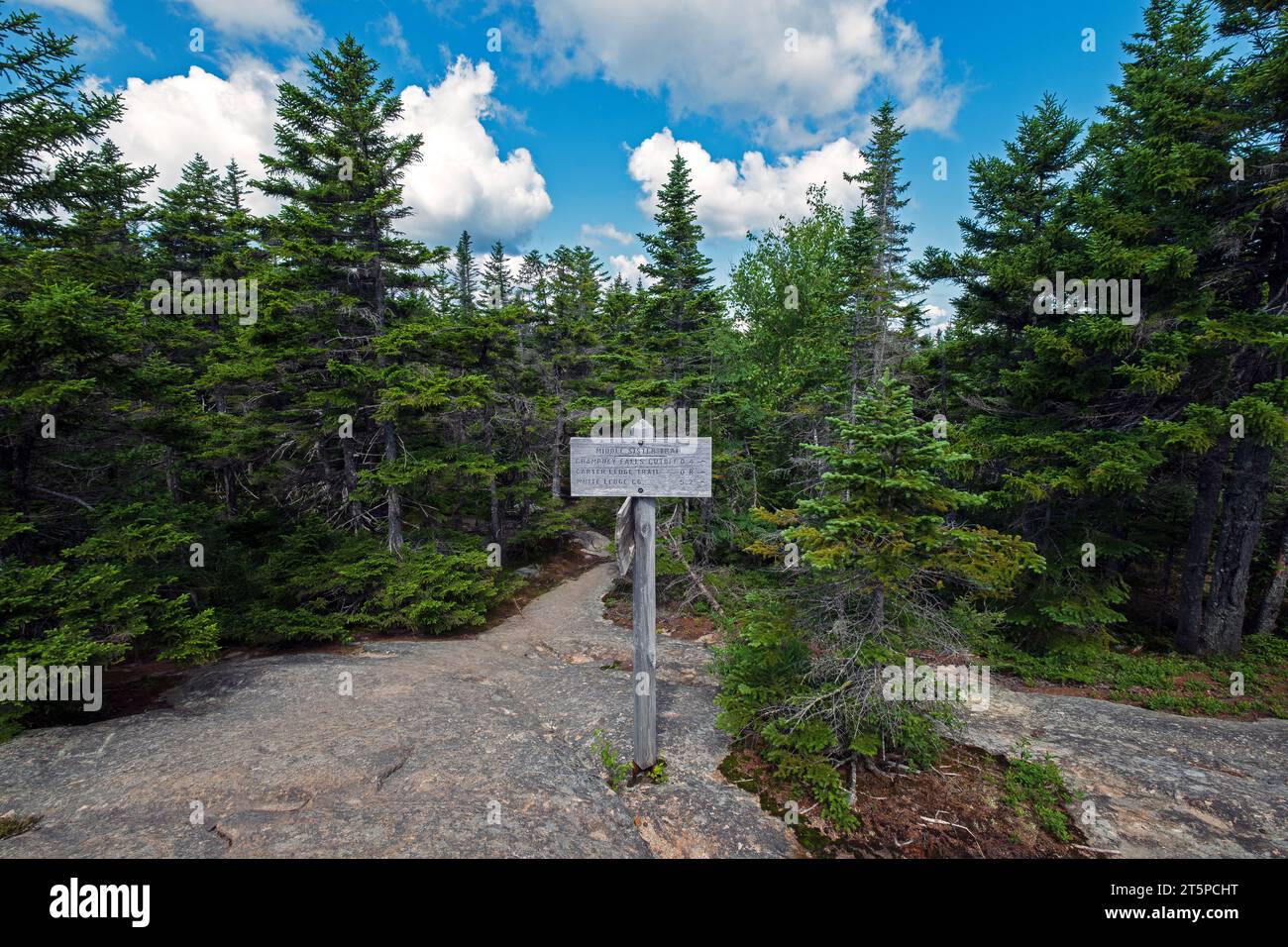 Middle Sister Trail signpost directs hikers as they traverse the Three ...