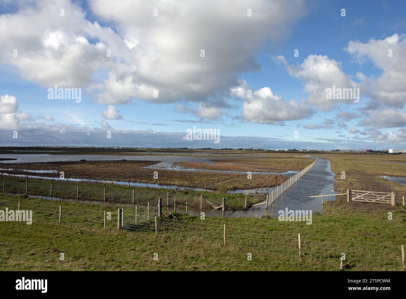 Salt Marsh The Ribble Estuary National Nature Reserve near Hesketh Bank ...