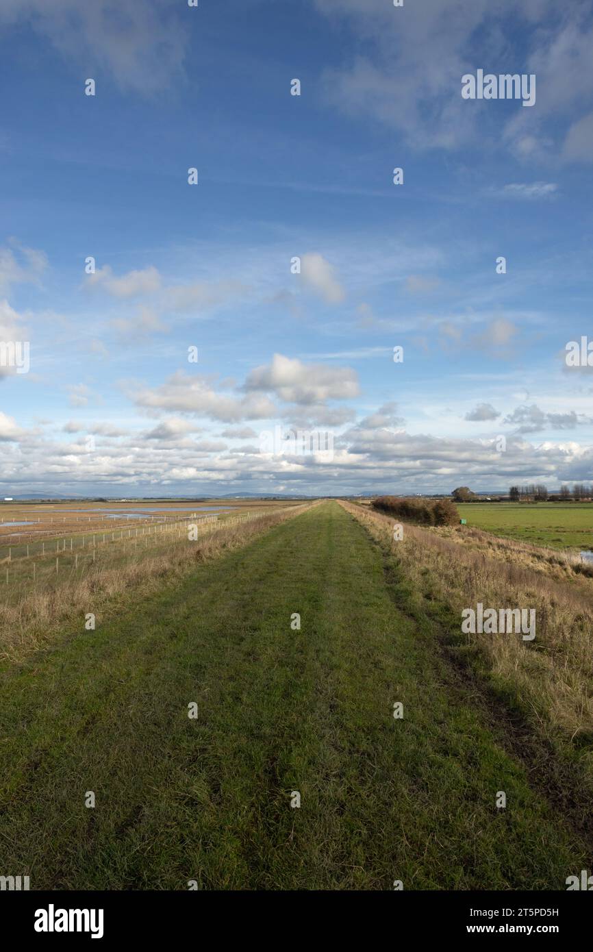 Salt Marsh The Ribble Estuary National Nature Reserve near Hesketh Bank ...