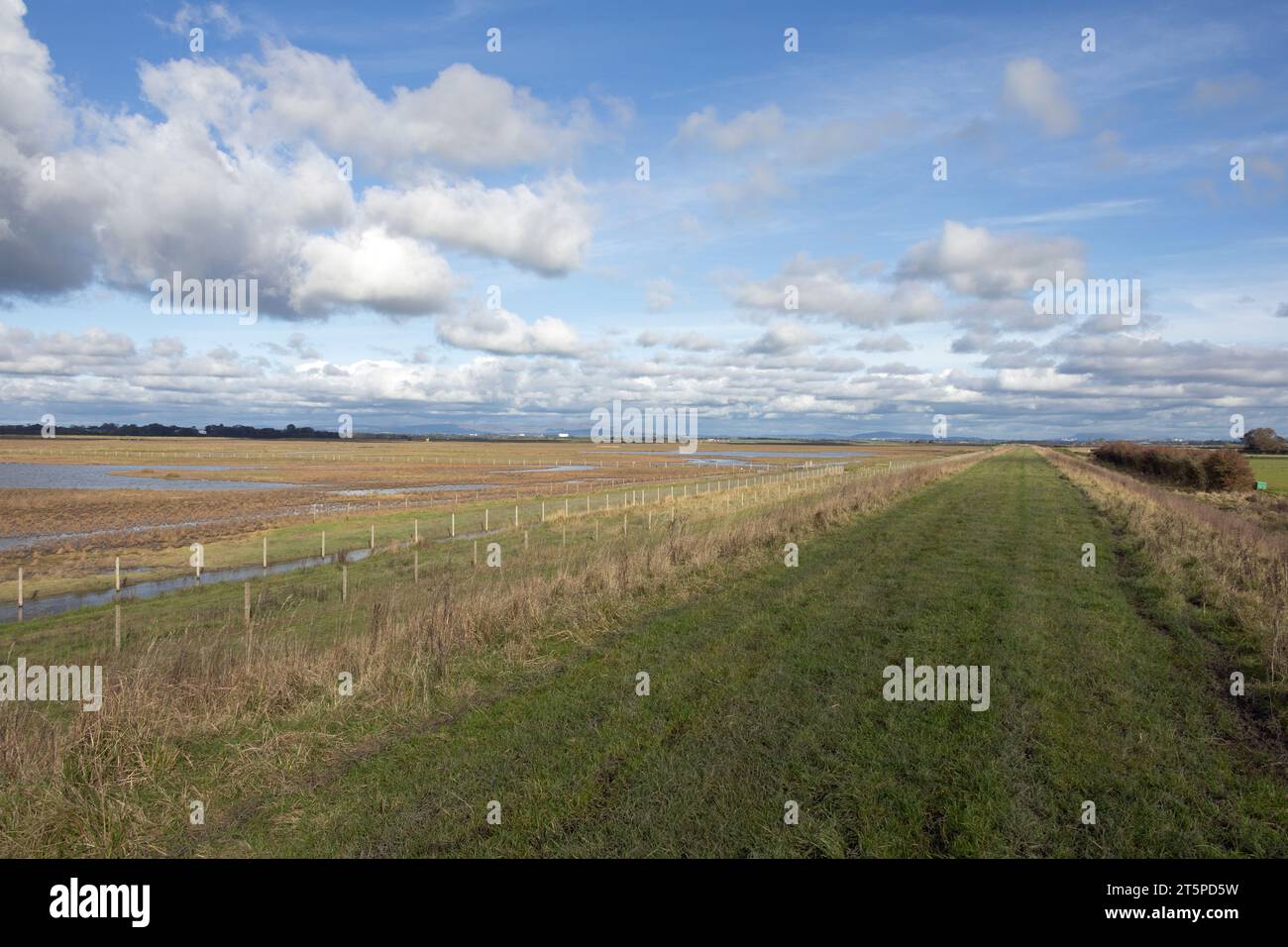 Salt Marsh The Ribble Estuary National Nature Reserve near Hesketh Bank ...
