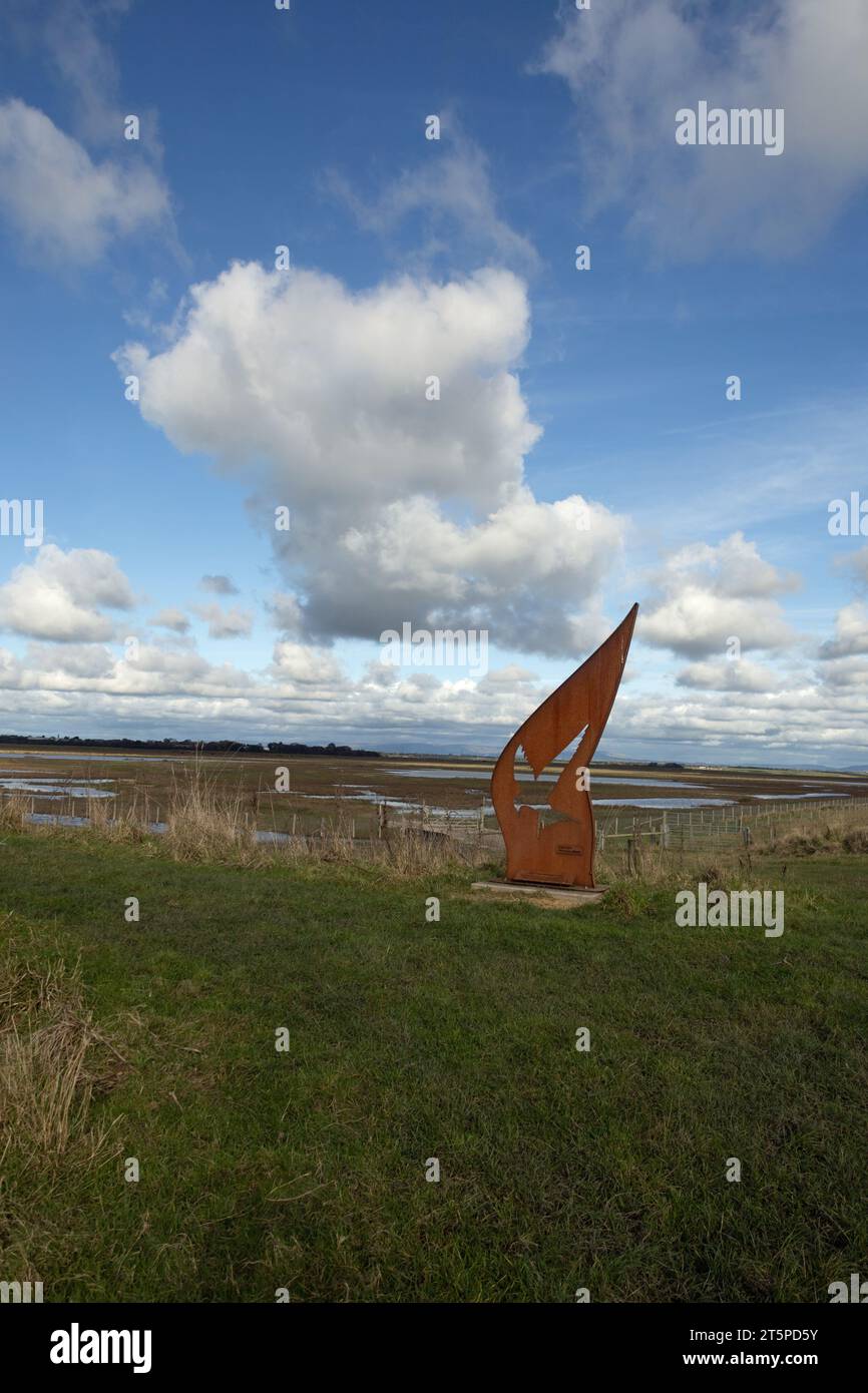 Salt Marsh The Ribble Estuary National Nature Reserve near Hesketh Bank ...