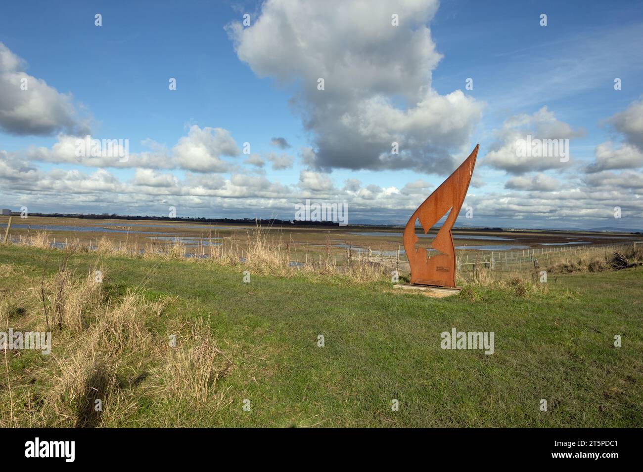 Salt Marsh The Ribble Estuary National Nature Reserve near Hesketh Bank ...