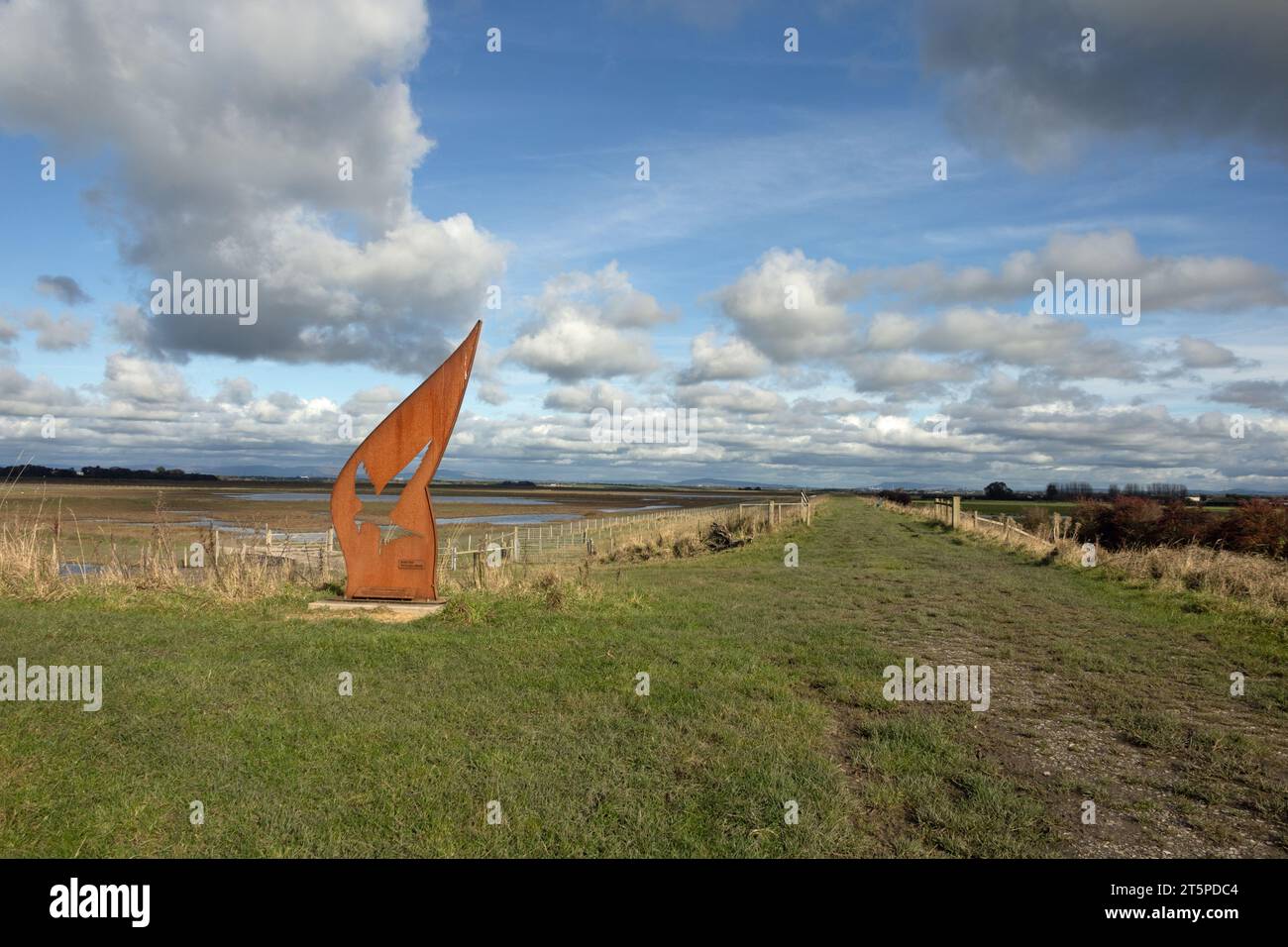 Salt Marsh The Ribble Estuary National Nature Reserve near Hesketh Bank ...