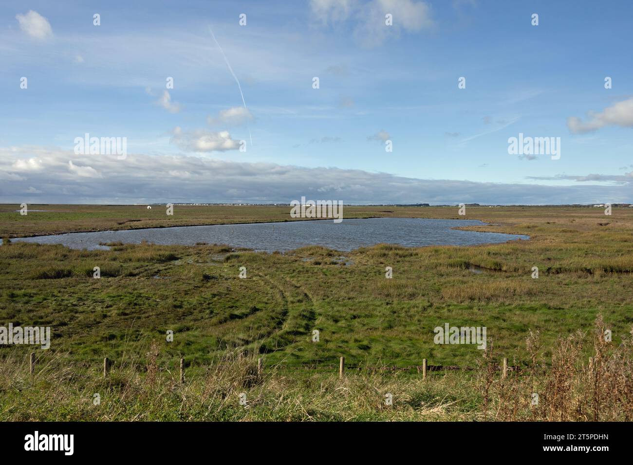 Salt Marsh The Ribble Estuary National Nature Reserve near Hesketh Bank ...