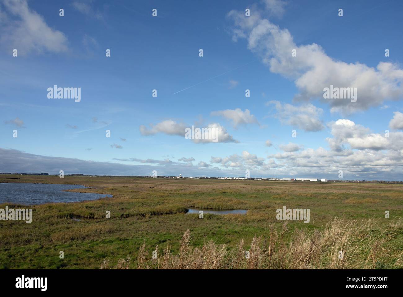 Salt Marsh The Ribble Estuary National Nature Reserve near Hesketh Bank ...
