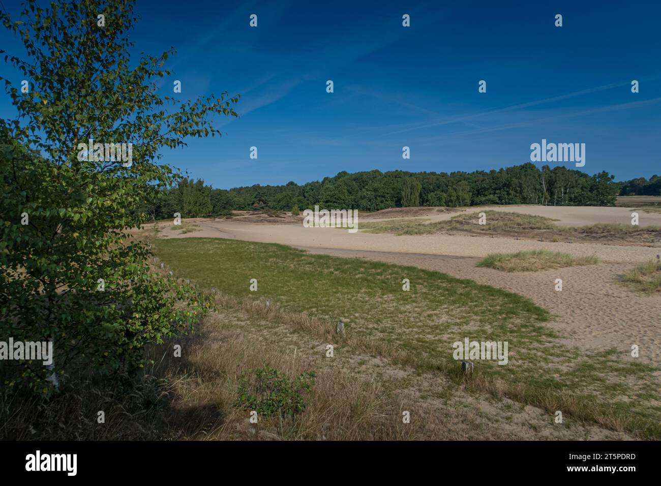 Sand area in Boberg dunes Stock Photo - Alamy