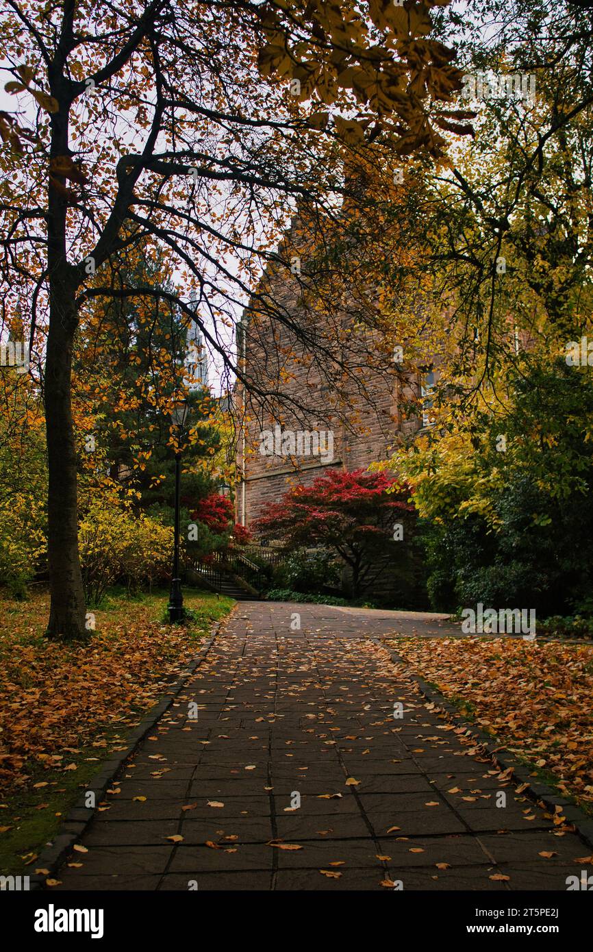 University of Glasgow in Autumn. A beautiful selection of different ...