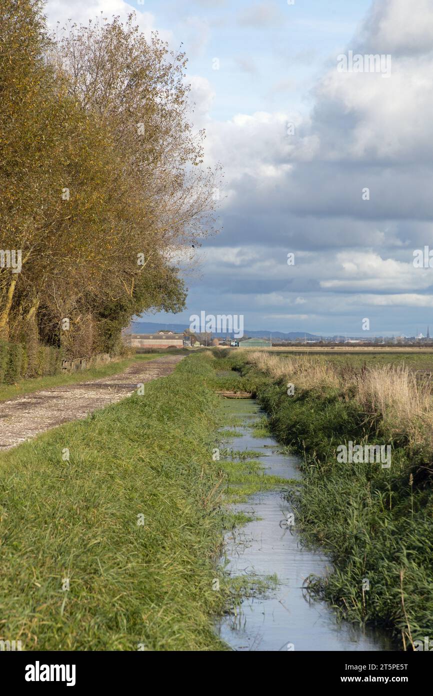 Drainage ditch draining farmland at Becconsall near Southport ...